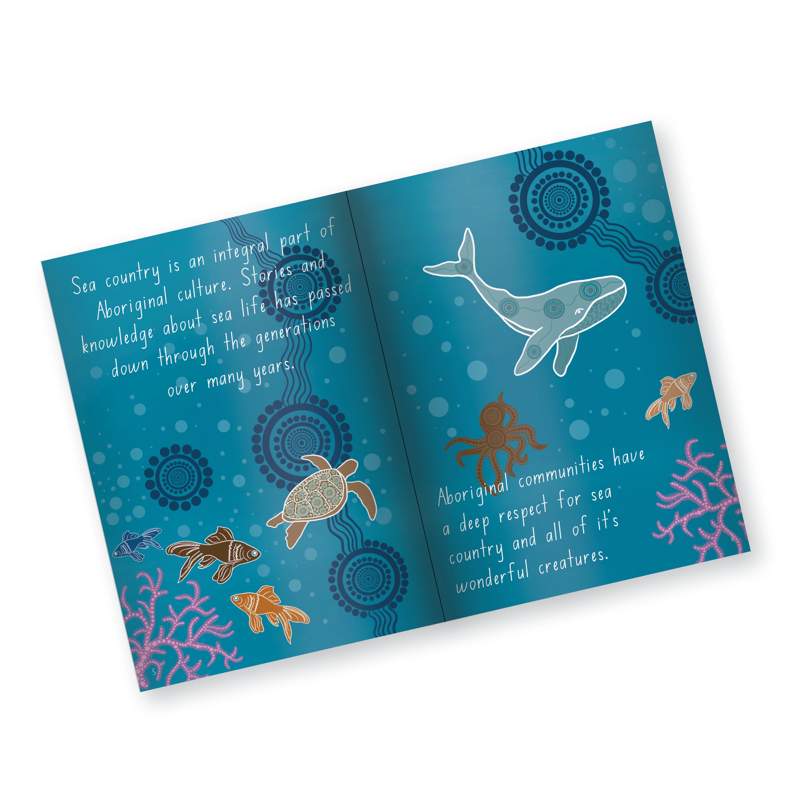 Creatures from Sea Country Big Book — Oz Publishing