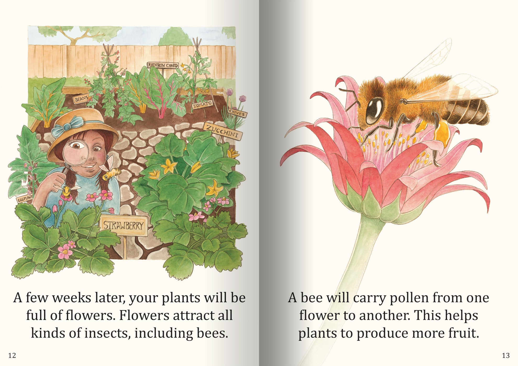 How Seeds Grow Big Book — Oz Publishing