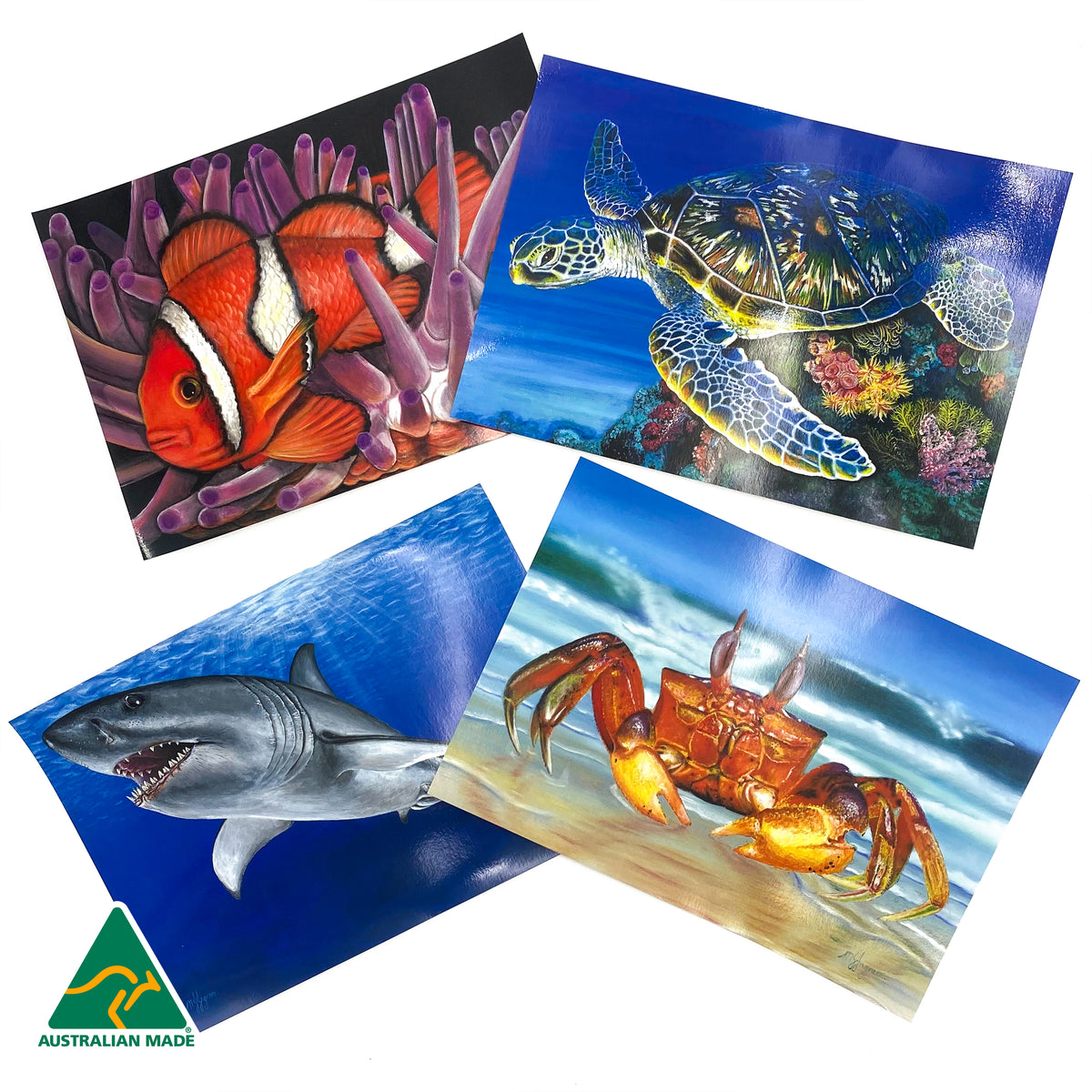 Large Sea Creatures Poster Pack — Oz Publishing