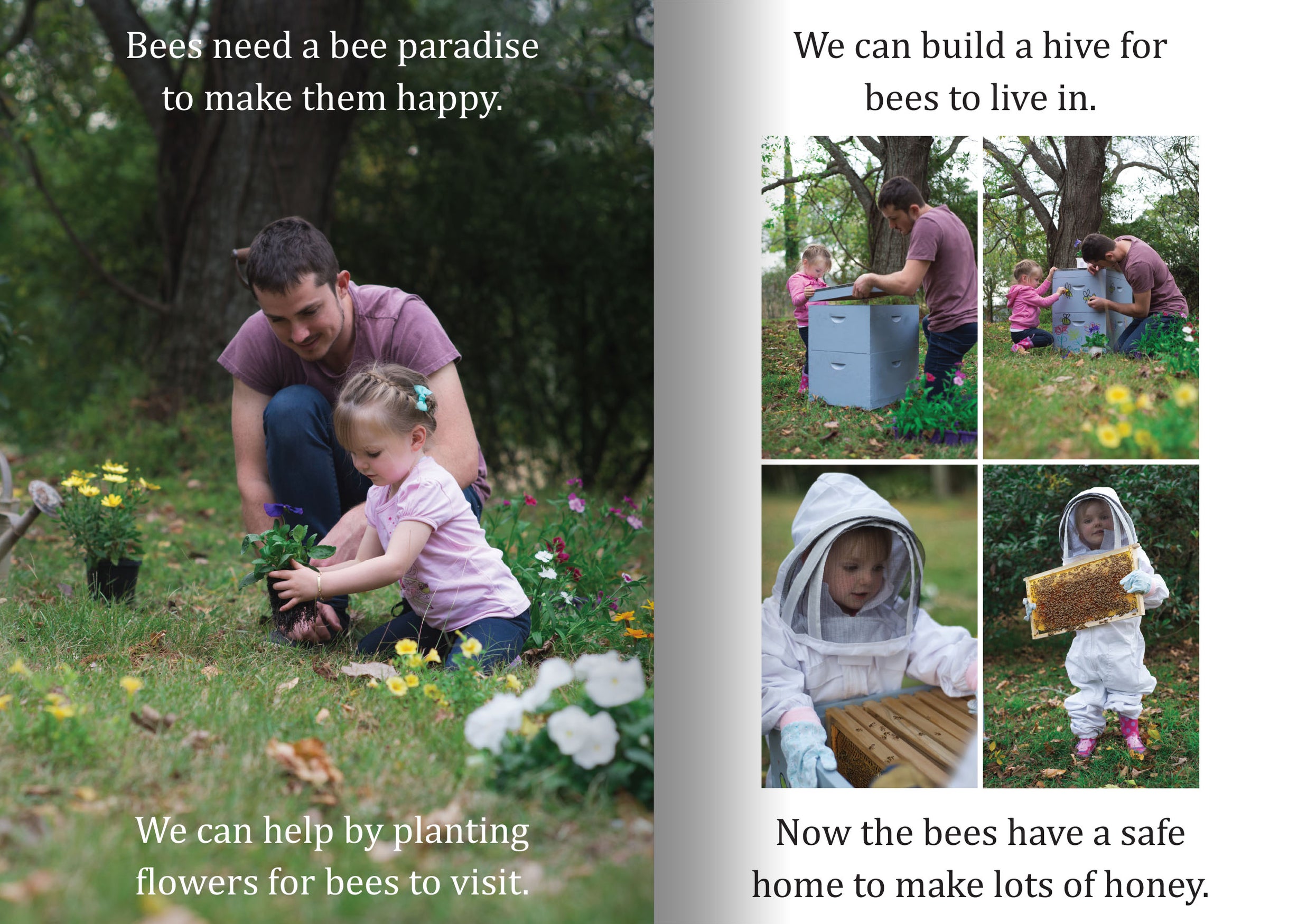 Let's Learn about Bees Big Book — Oz Publishing