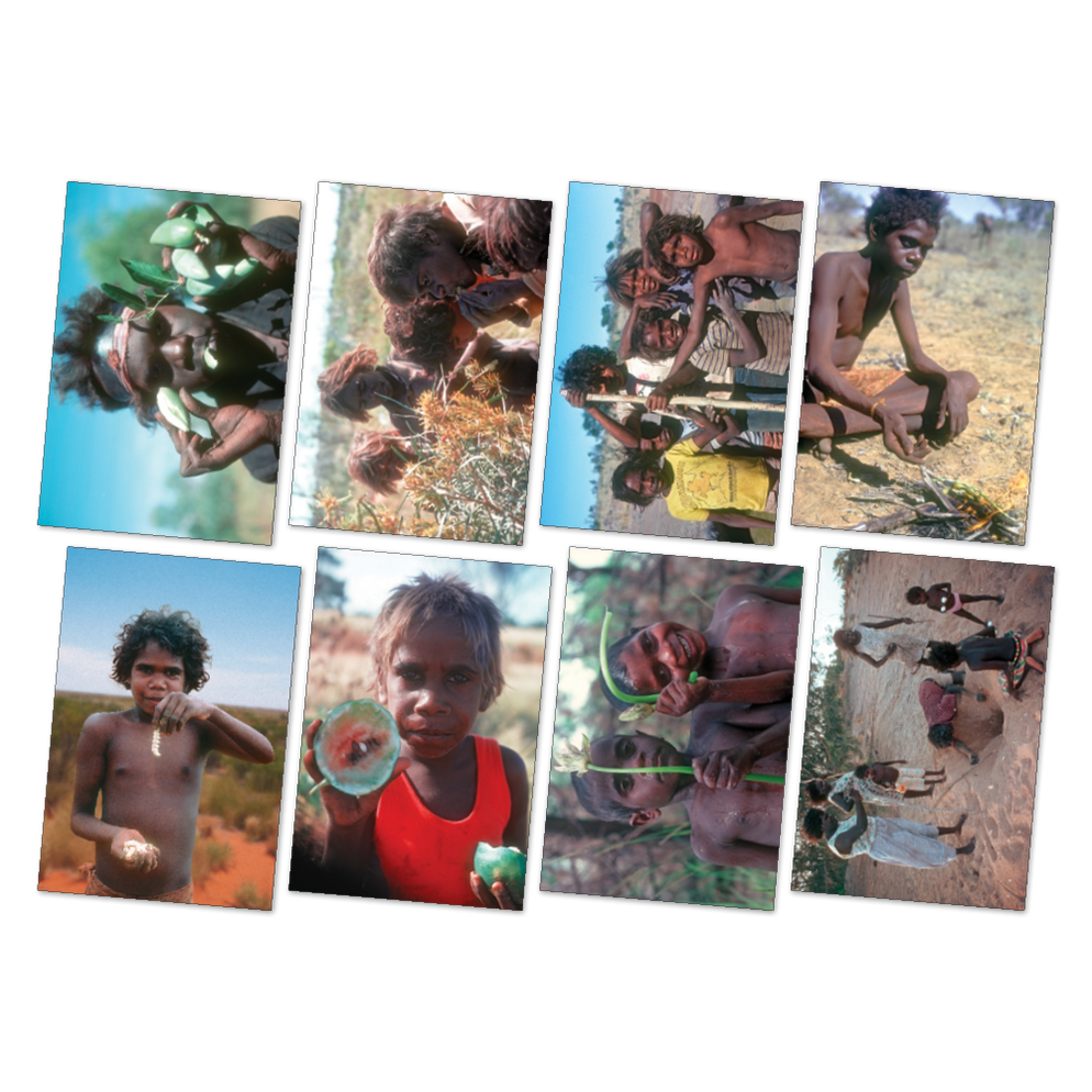 Bush Tucker Poster Kit — Oz Publishing