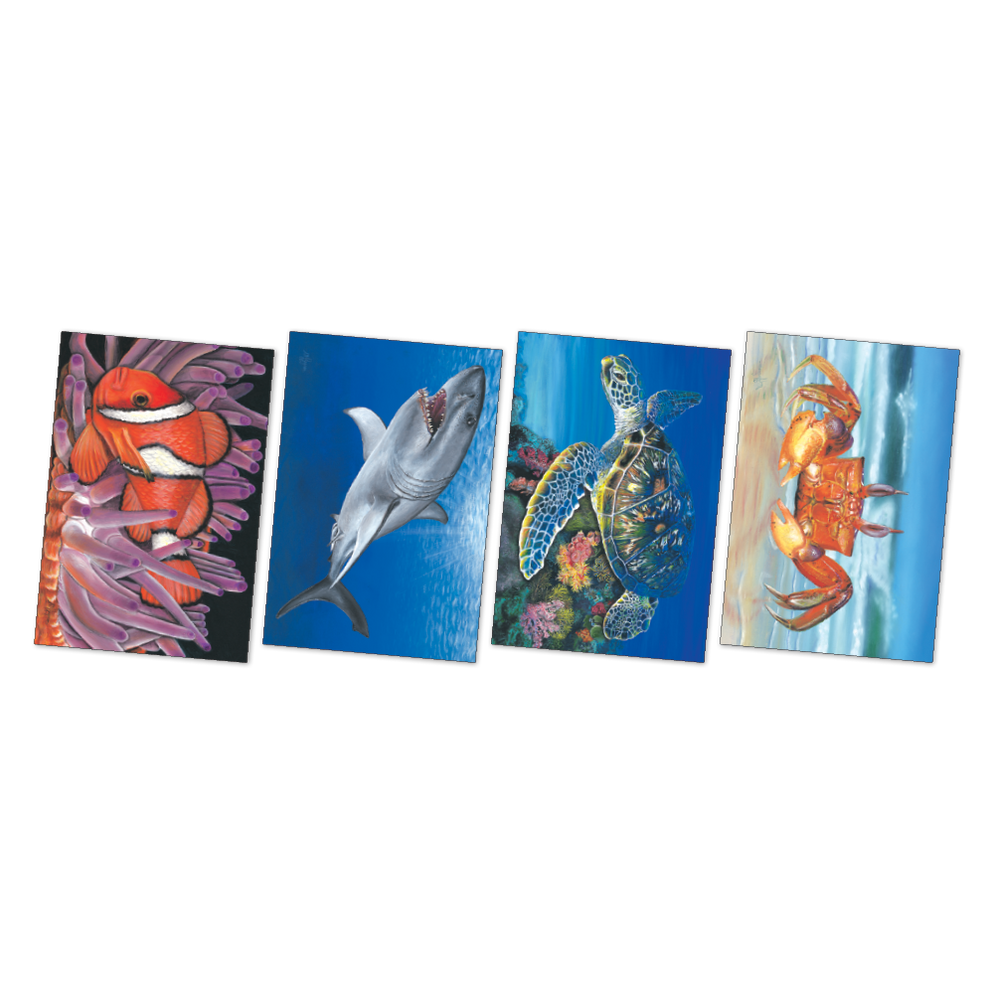 Large Sea Creatures Poster Pack — Oz Publishing
